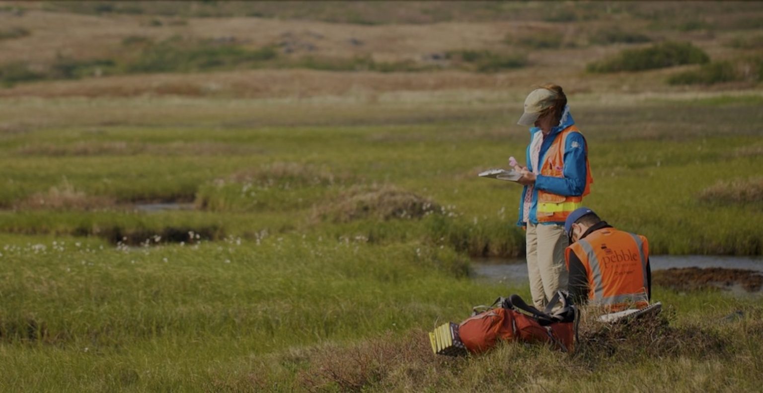 Pebble mine court proceedings back on track after shutdown, with new ...