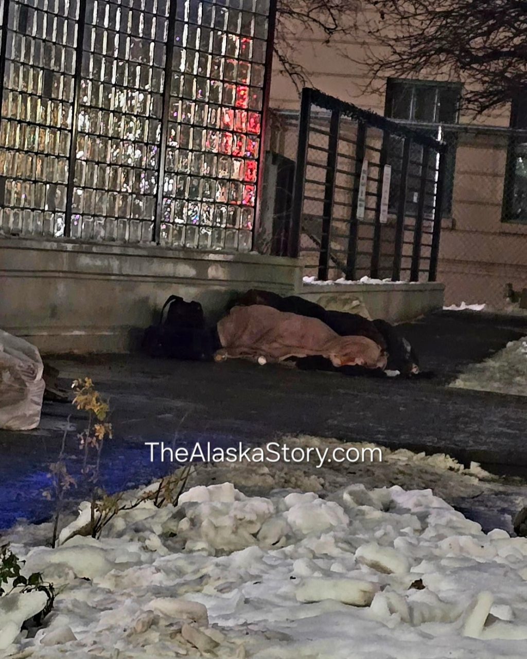 Photo gallery: After the tree lighting, the real residents return to ...