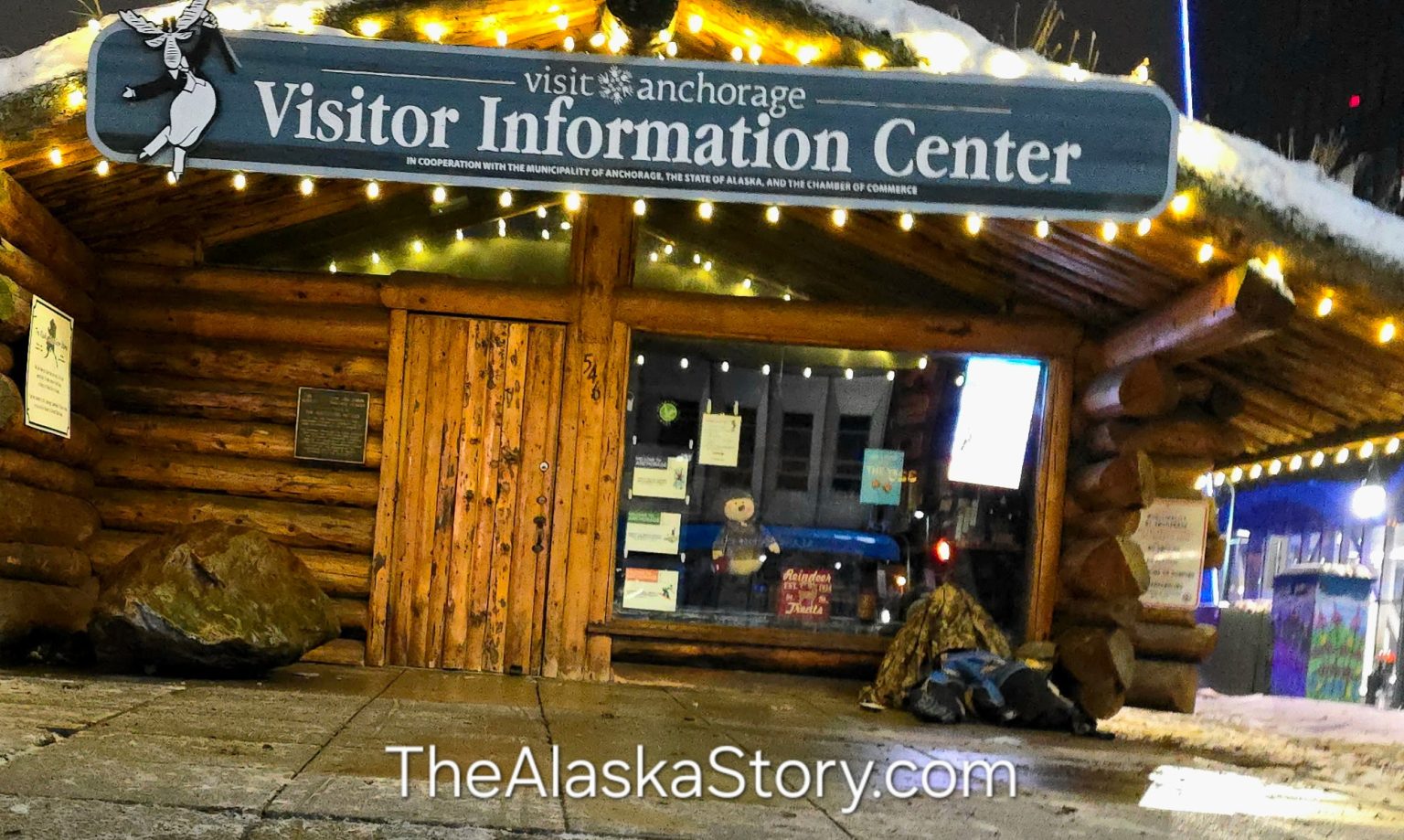 Photo gallery: After the tree lighting, the real residents return to ...