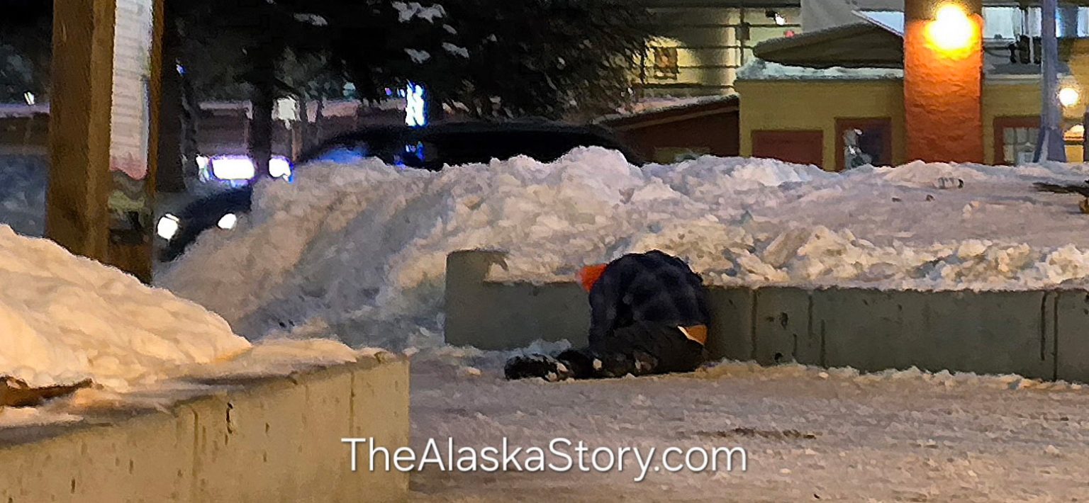 Photo gallery: After the tree lighting, the real residents return to ...