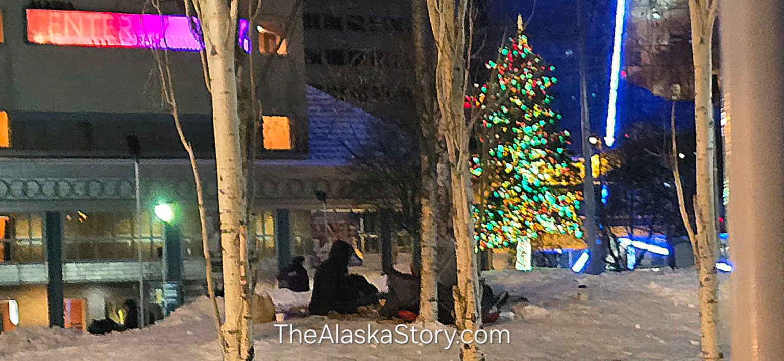 Photo gallery: After the tree lighting, the real residents return to ...