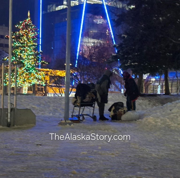 Photo gallery: After the tree lighting, the real residents return to ...