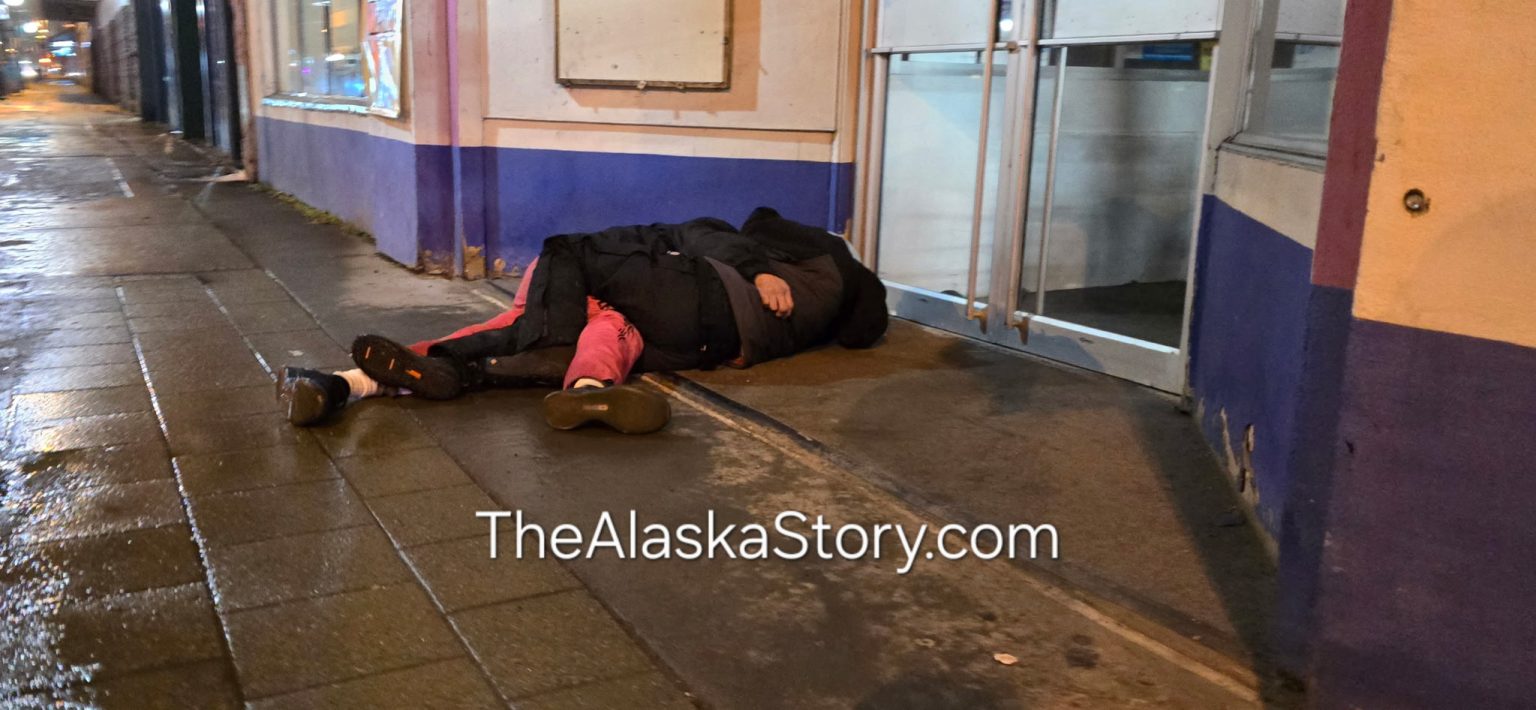 Photo gallery: After the tree lighting, the real residents return to ...