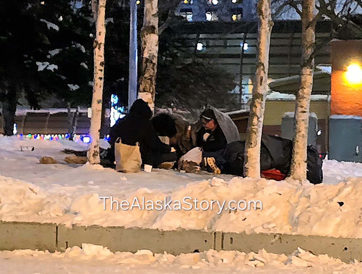 Photo gallery: After the tree lighting, the real residents return to ...