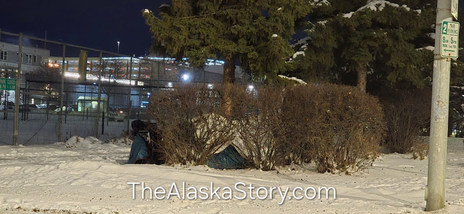 Photo gallery: After the tree lighting, the real residents return to ...