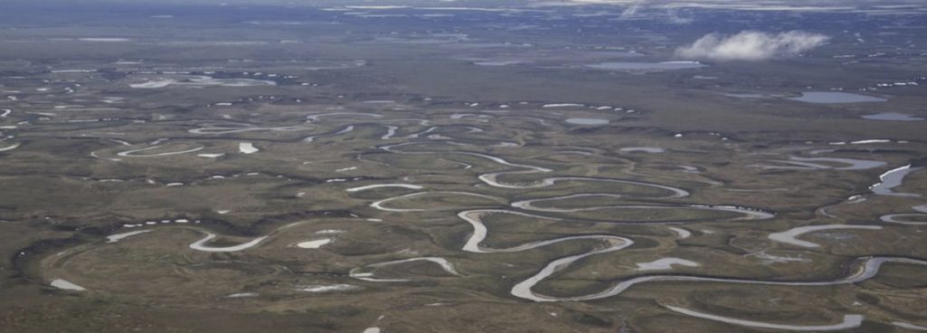 Merry Christmas, Alaska: BLM approves new lease sites in National ...