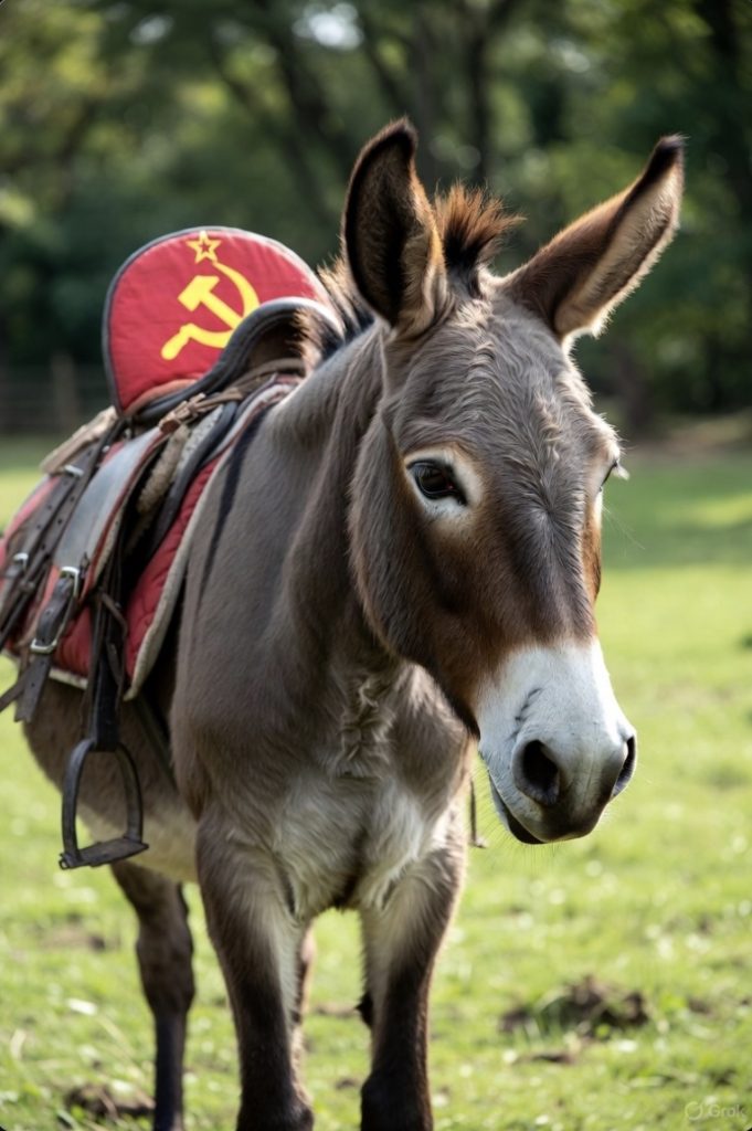 Democrat Party saddled by Socialism, as under-30 voters embrace the ...