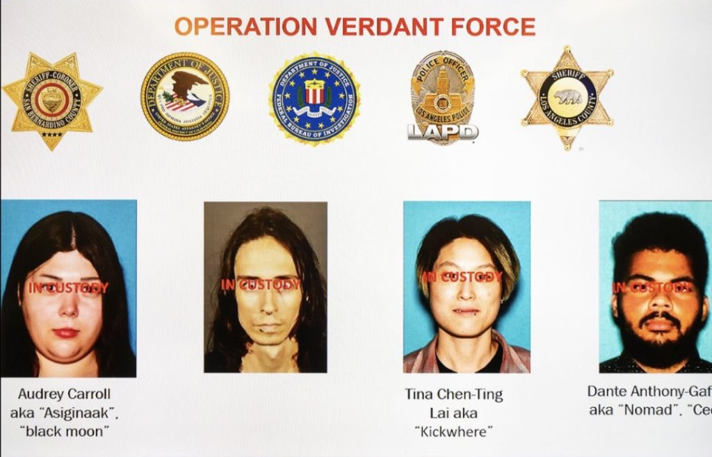 Four arrested in New Year’s Eve bomb plot linked to radical left Turtle ...