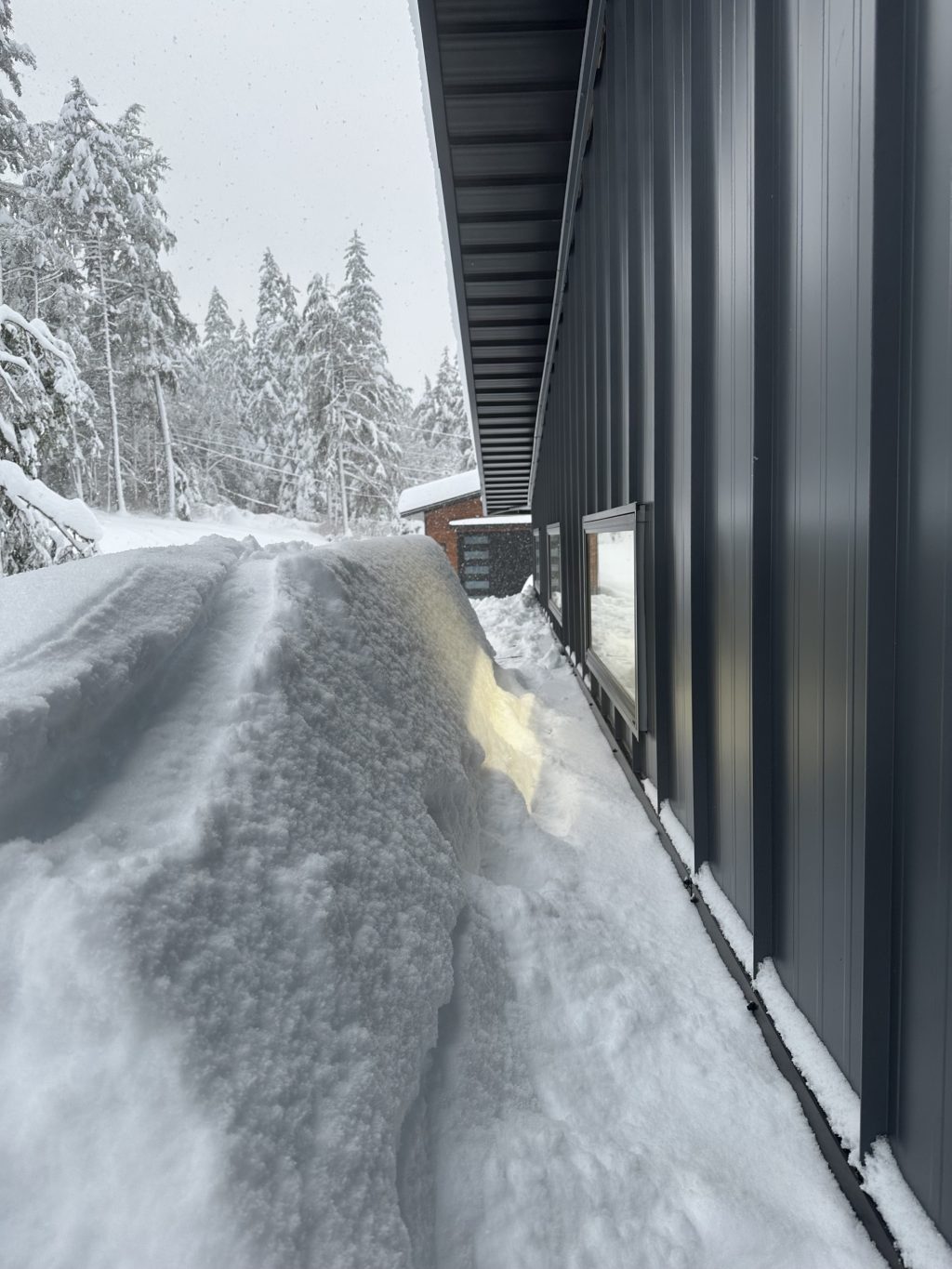 Juneau snow emergency worsens as roofs near collapse and contractors ...