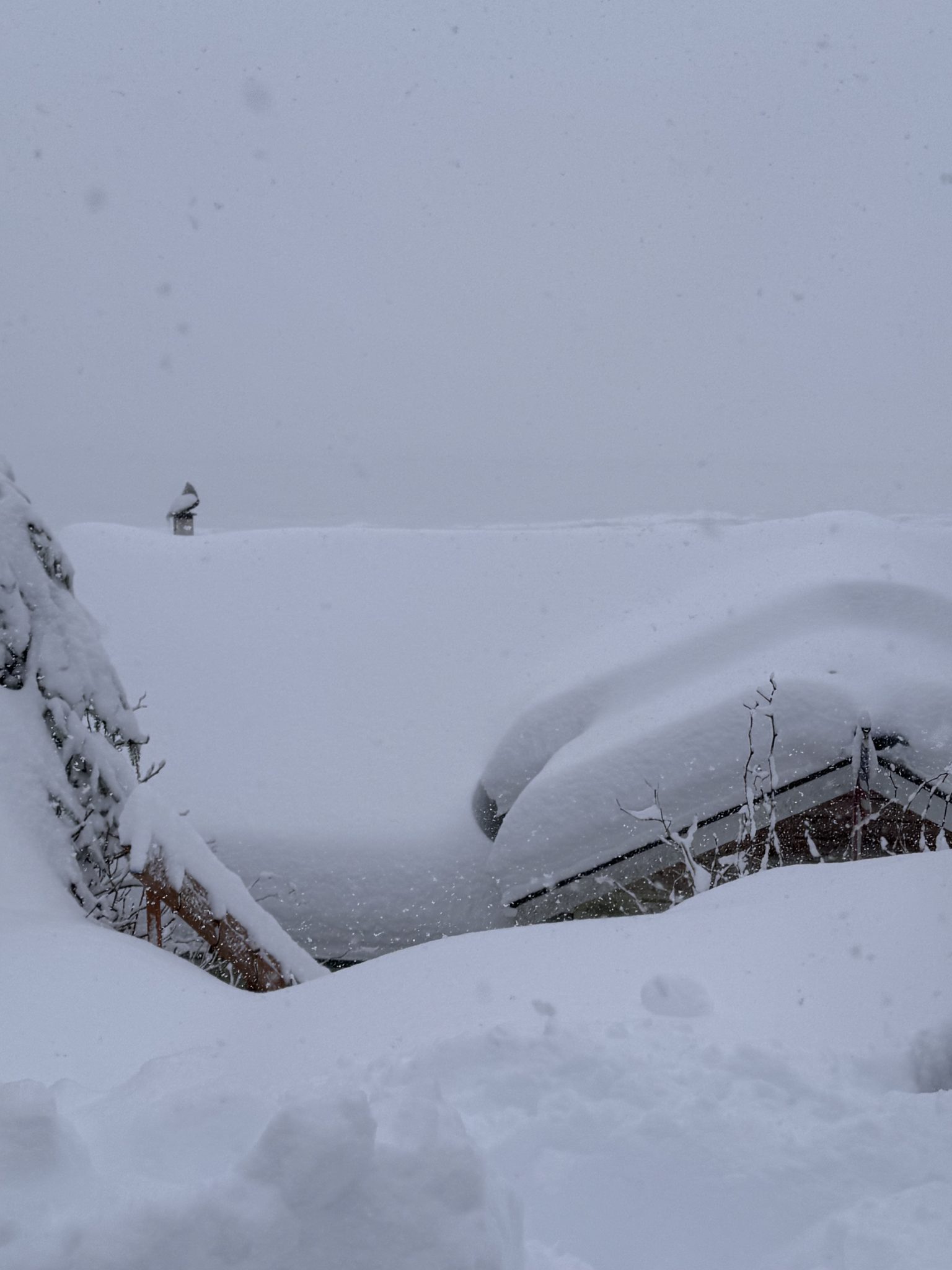 Juneau mayor, tribes issue joint disaster declaration ahead of ...