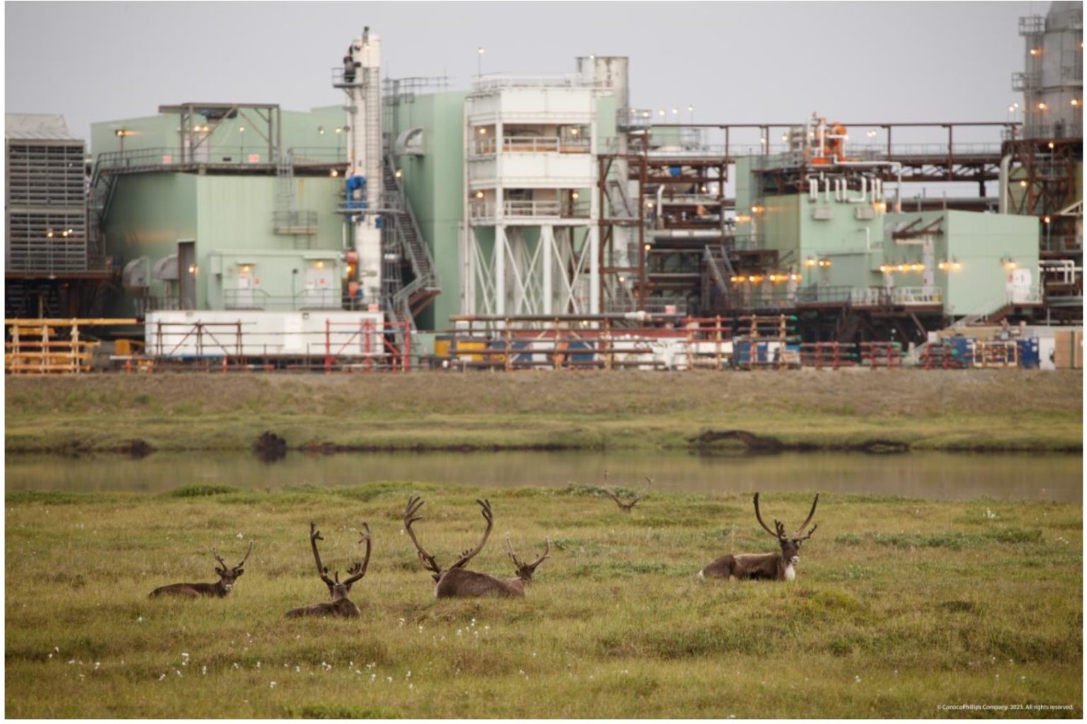 Oil giants return to Alaska as Arctic becomes 'world’s hottest play ...